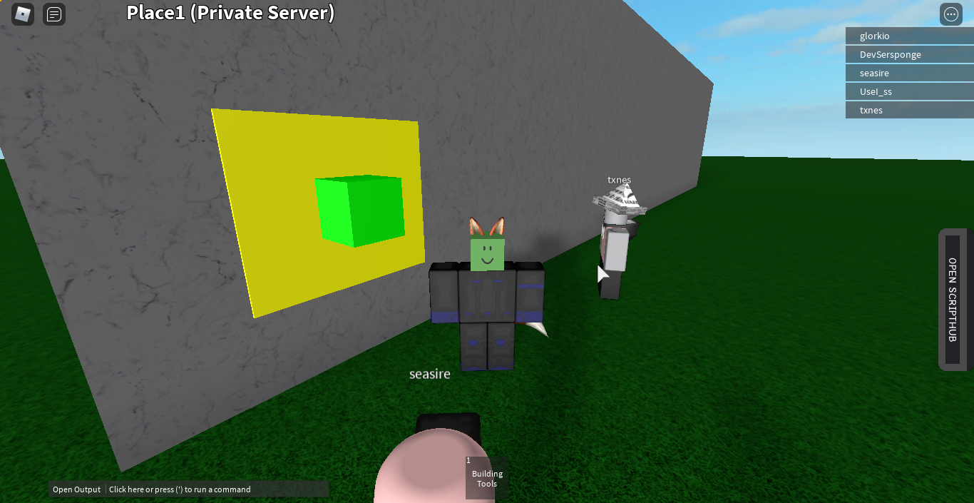 How Do I Get This Specific Position Scripting Support Developer