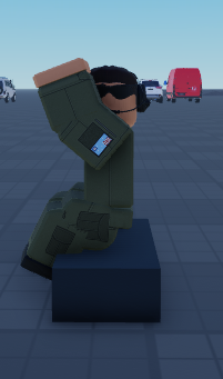 Custom Seat Animation Being Overridden By Default Scripting Support