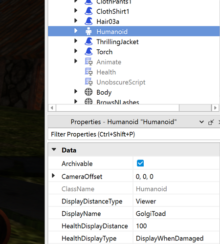 Display name over custom character? - Scripting Support - Developer Forum | Roblox