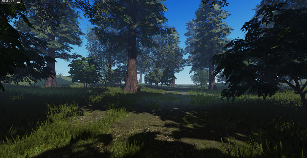 Creating REAL Realism (Forest Path) - Community Tutorials - Developer ...