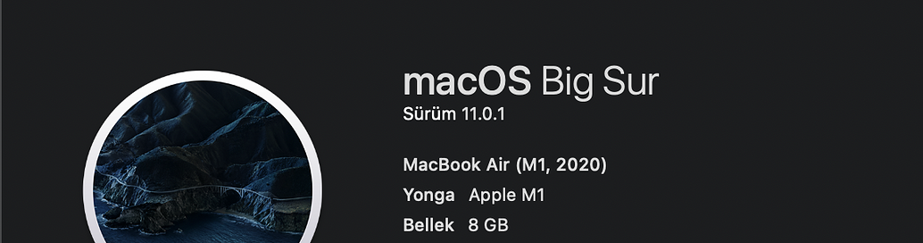 Roblox Studio Crashes on Apple Silicon Mac - Studio Bugs - Developer ...