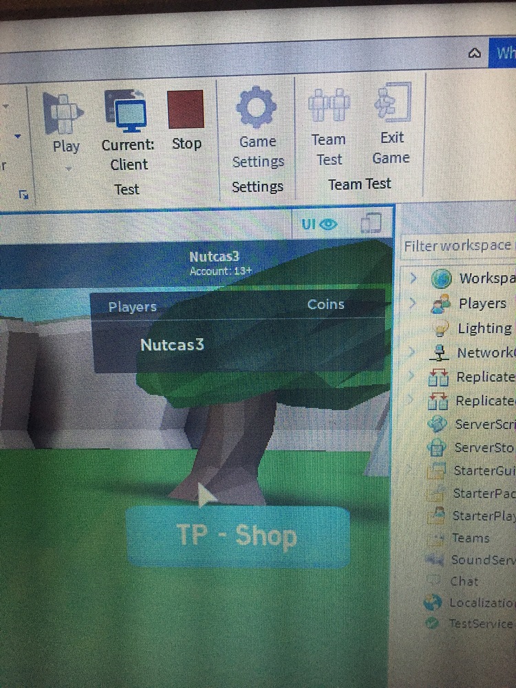 Why Is my Stat Value “ “ (StringValue) - Scripting Support - Developer Forum | Roblox