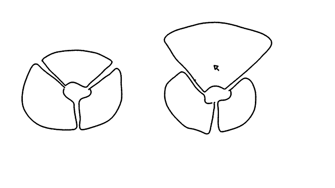 How would I make a "circular" GUI? - Art Design Support - Developer ...