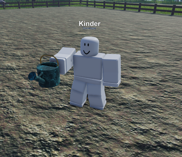 Idle Animation not showing properly to Server - Scripting Support - Developer Forum | Roblox