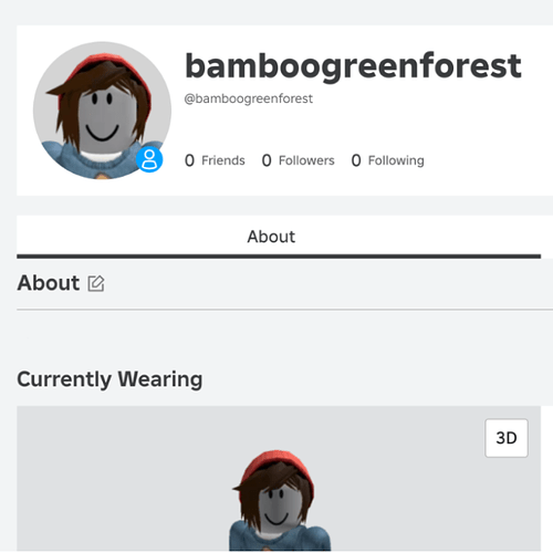 Previous Usernames No Longer Show On Profiles - Roblox Application and ...