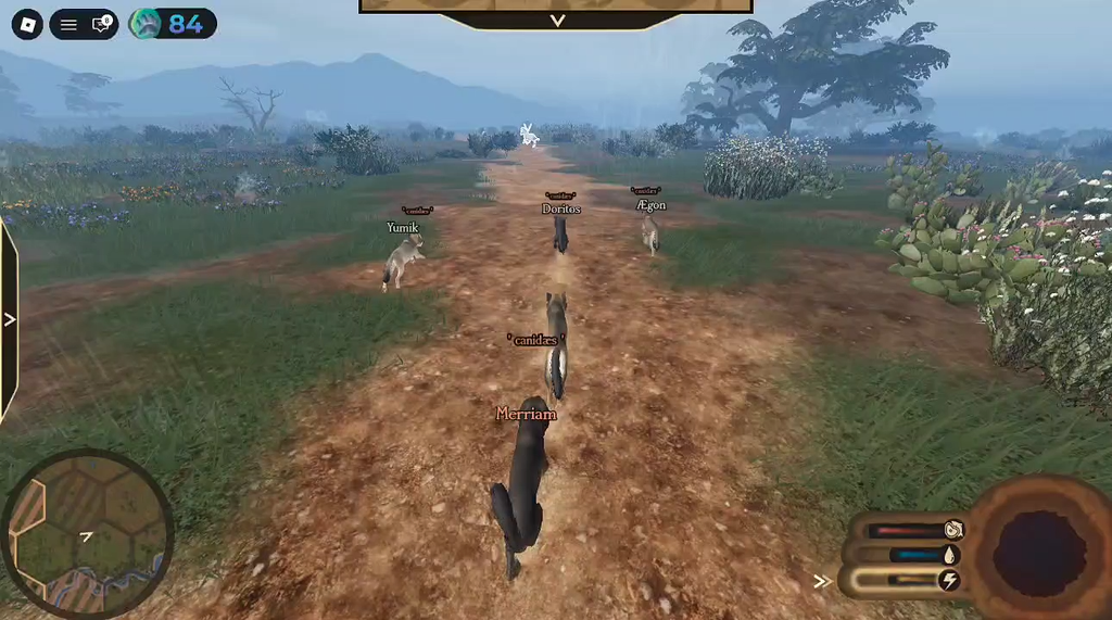 Character animations playing at extremely low frame rate. - Engine Bugs ...