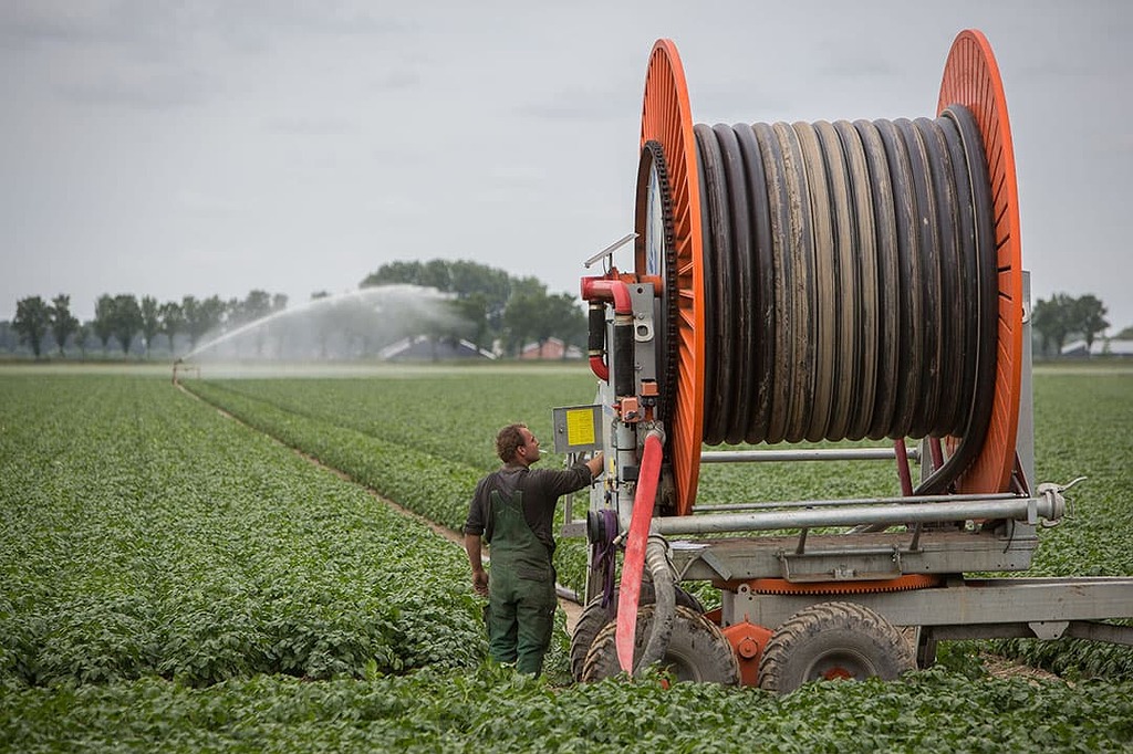 Help With Loop Script Scripting Support Developer Forum Roblox