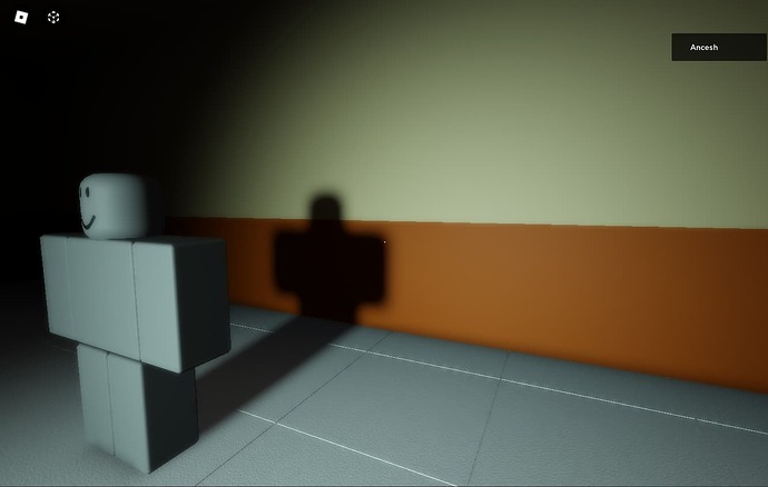 Player's shadow didn't show up in first person - Game Design Support ...