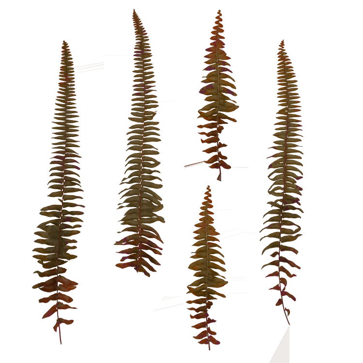 Free Nature Pack - Community Resources - Developer Forum | Roblox