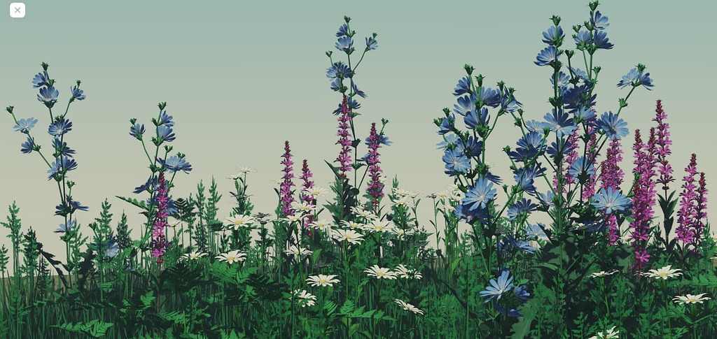 Meadow wildflowers - 6 plant species - Community Resources - Developer ...