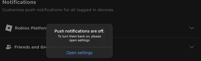 Can’t enable Roblox app notifications on IPad 10th generation ...