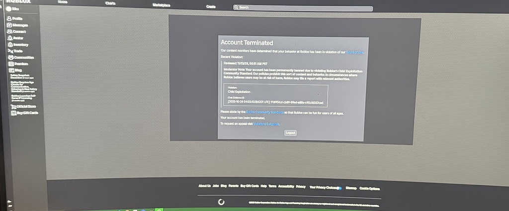 Issues with Roblox support making it impossible to appeal false bans ...