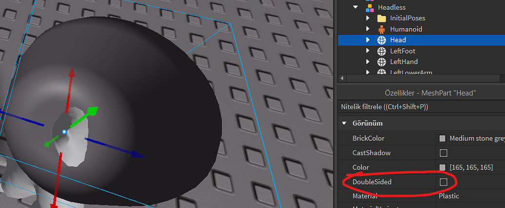 Dynamic Heads Bypassing Invisibility - Catalog Asset Bugs - Developer ...