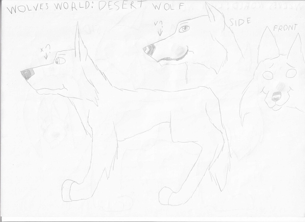 Wolves World: wolves species design part 3 - Creations Feedback ...
