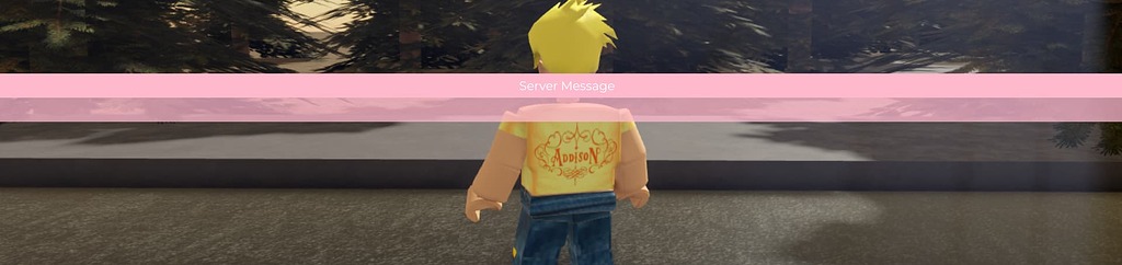 Basic Admin Commands Blank - Scripting Support - Developer Forum | Roblox
