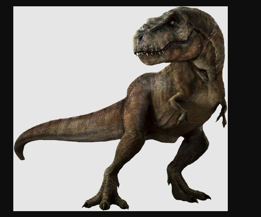 EditableImage help - Scripting Support - Developer Forum | Roblox