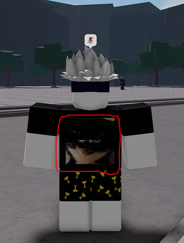 Roblox UGC Being completly pixelated on R6 - Platform Usage Support ...
