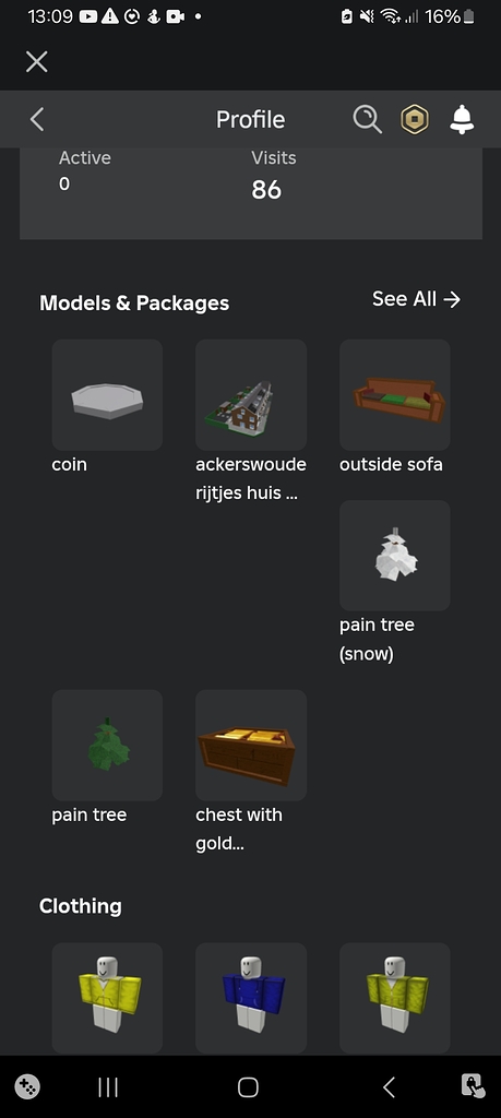 Cannot Find Button To Add Models Or Games To Profile Platform Usage Support Developer Forum