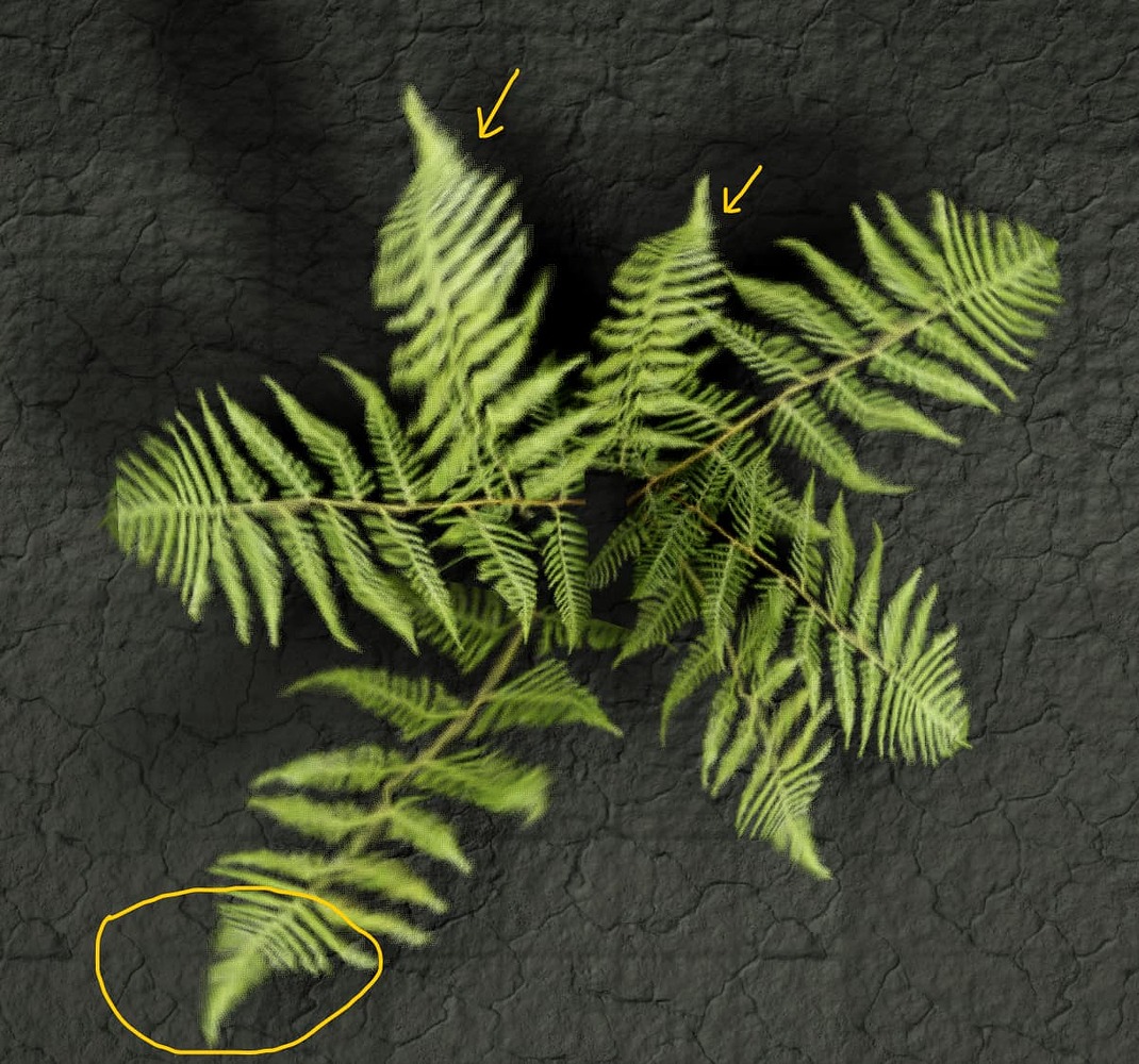 How to use Alpha channels for transparent textures - Community Resources - Developer Forum | Roblox