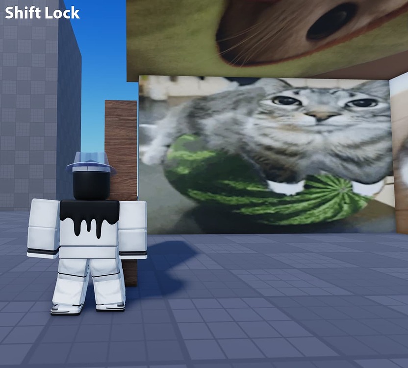 ShiftUnlocked | Advanced Third Person Camera Module - Community ...