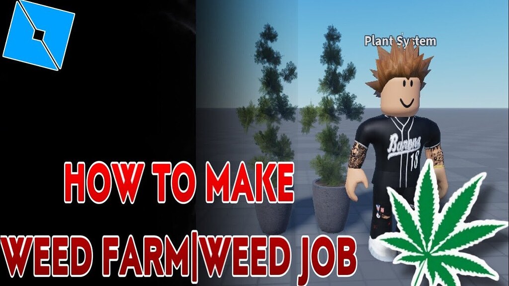 Weed System allowed? - Game Design Support - Developer Forum | Roblox