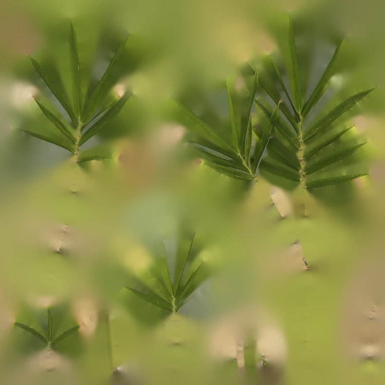 TGA files are not uploading in the 3D importer - Studio Bugs ...