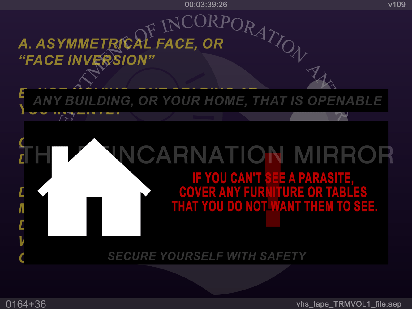 The Reincarnation Mirror: Analog Horror VHS Tape - Creations Feedback ...