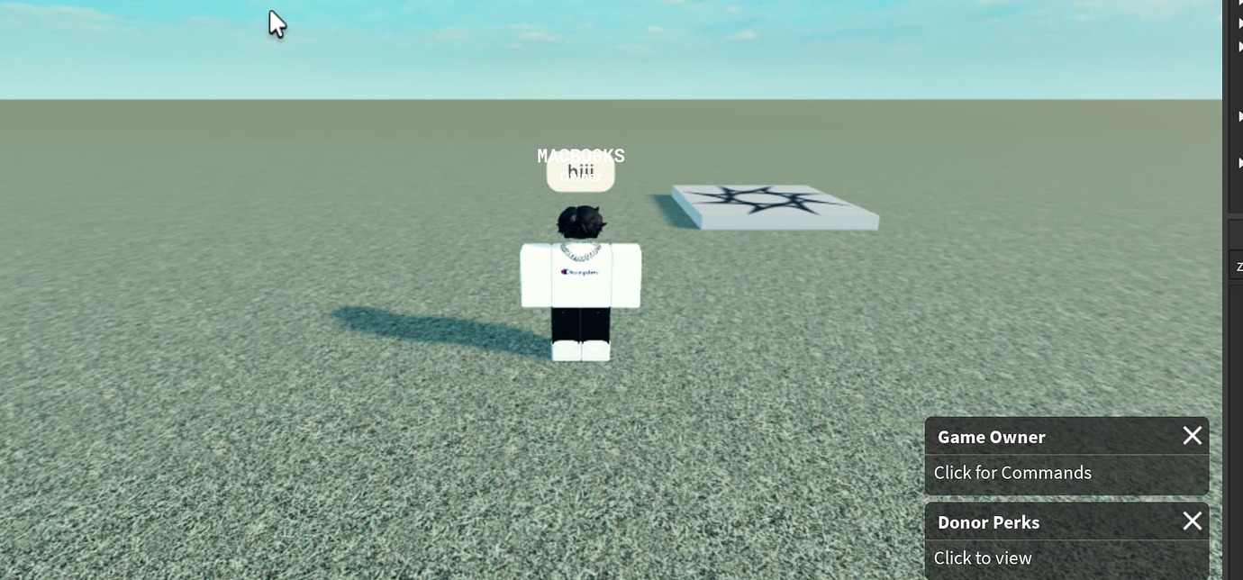 Overlapping BubbleChat with Rank UI - Building Support - Developer Forum | Roblox