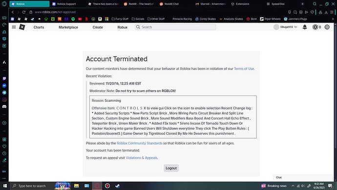 Accounts Terminated for no reason given by the AI system automation and ...