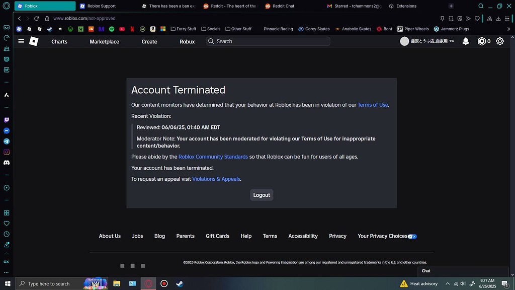 Accounts Terminated for no reason given by the AI system automation and ...