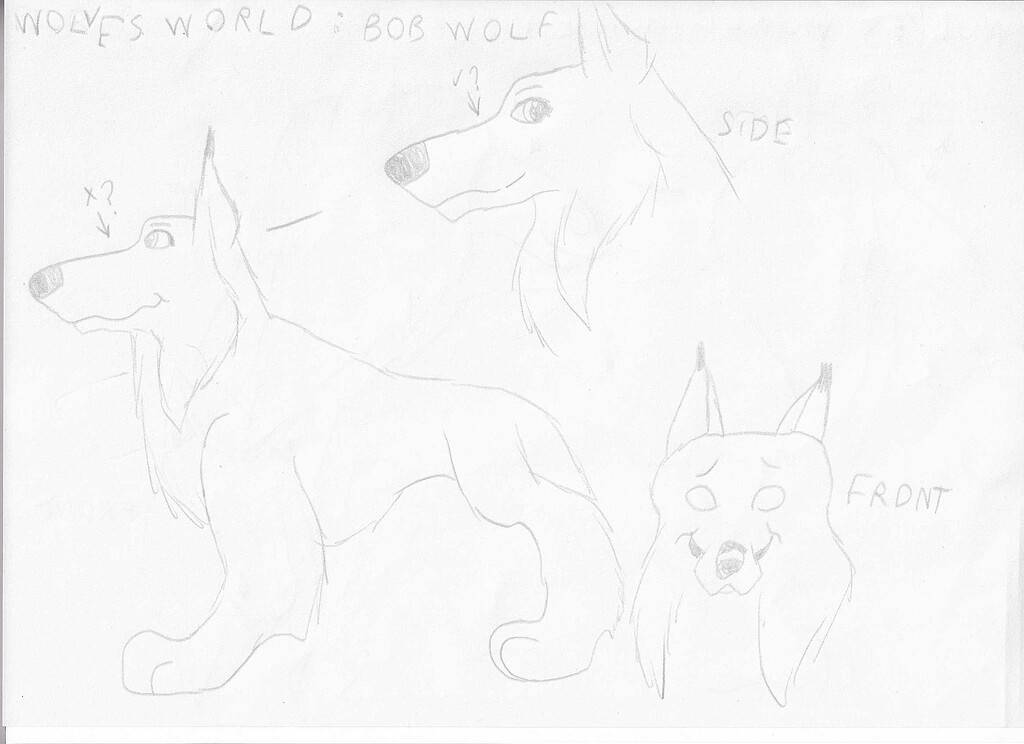 Wolves World: wolf species hand drawn designs part 2 - Creations ...