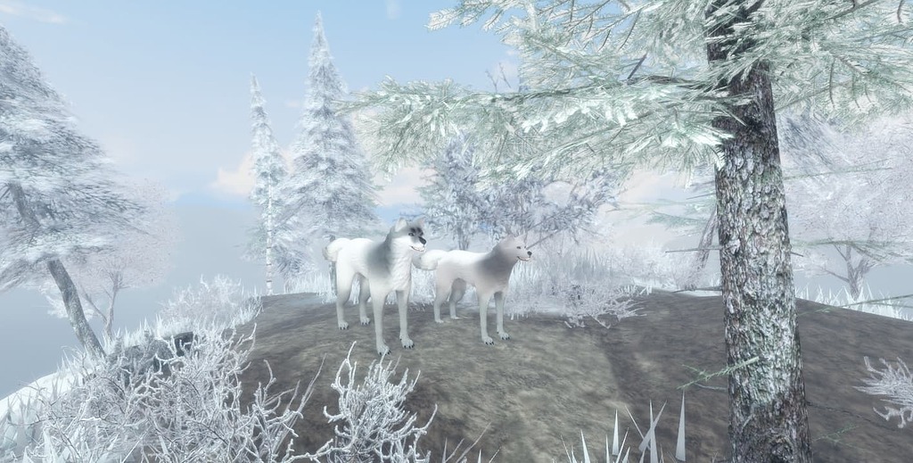 Fur/Custom Shaders - Studio Features - Developer Forum | Roblox