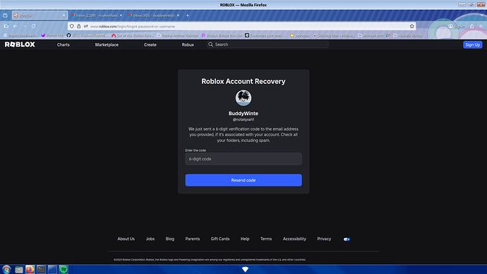 No Email Received from "Roblox Account Recovery" Form - Roblox ...