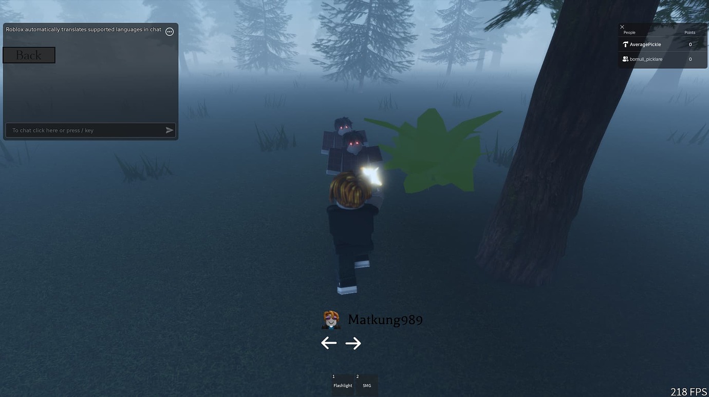 How to make objects render around another player - Scripting Support - Developer Forum | Roblox