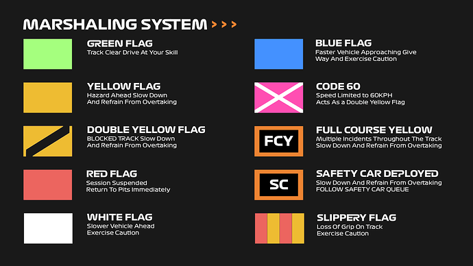 racing flag rules