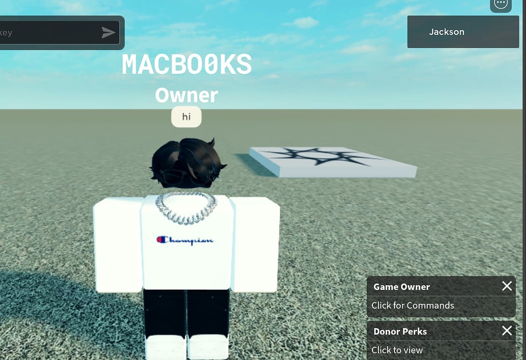 Overlapping BubbleChat with Rank UI - Building Support - Developer Forum | Roblox