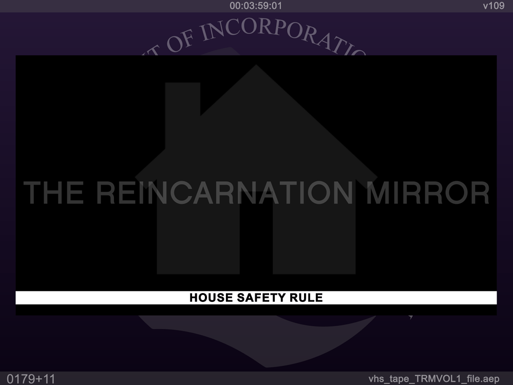 The Reincarnation Mirror: Analog Horror VHS Tape - Creations Feedback ...