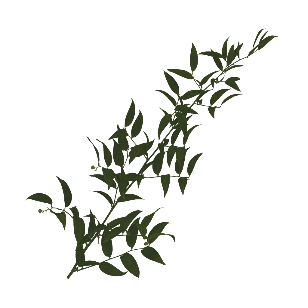 How To Create Transparency Maps using Substance Sampler - Roblox Staff ...