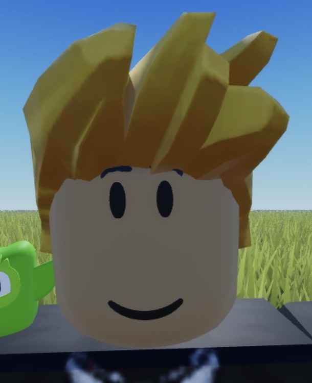 Blocky/Modified Character breaking face - Engine Bugs - Developer Forum ...