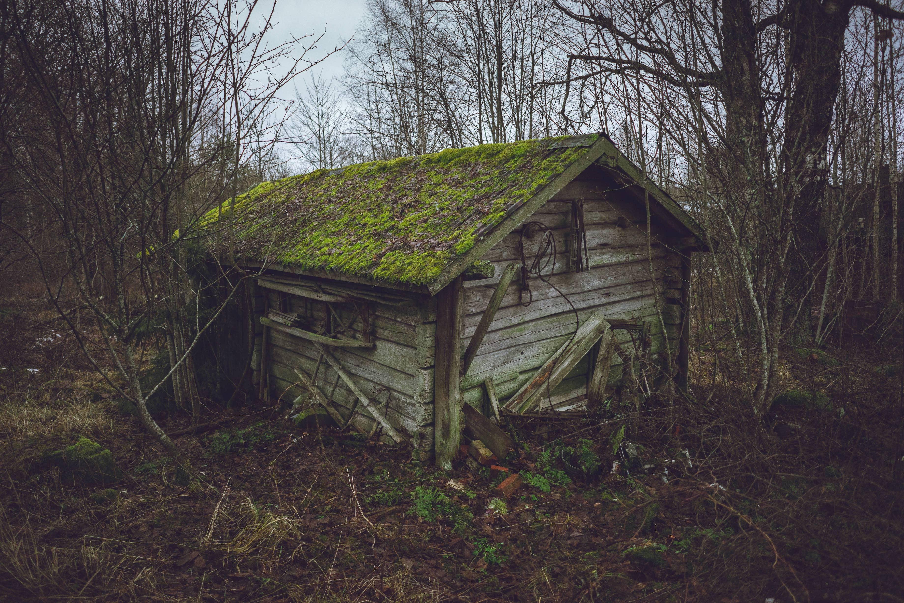 An Abandoned Cabin - Creations Feedback - Developer Forum | Roblox