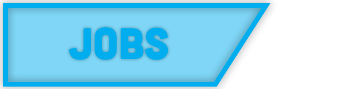 Hiring Development Lead/Manager and Coordinator - Recruitment ...