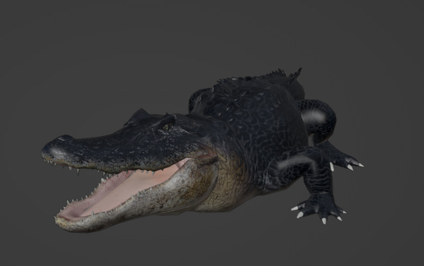 FeedBack on my Realistic Aligator! - Creations Feedback - Developer ...