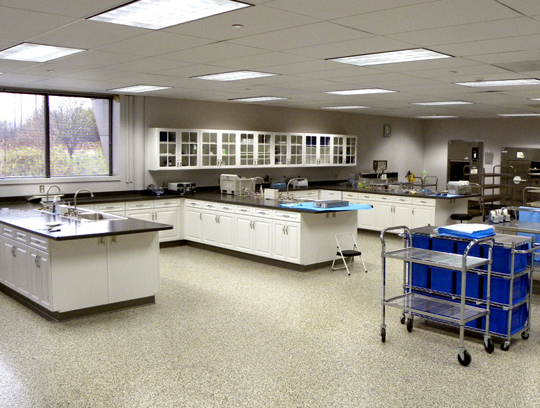 Feedback on Lab facility - Building Support - Developer Forum | Roblox