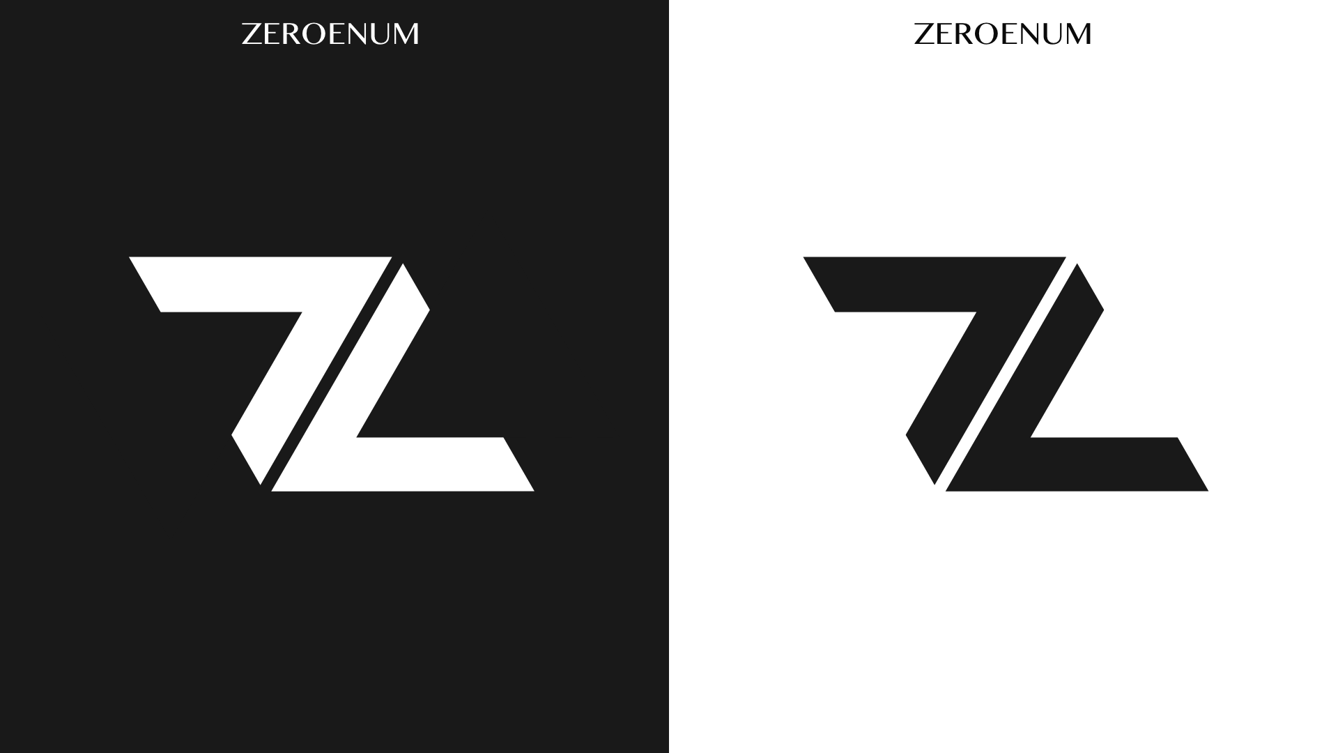 Logo Designer For Hire