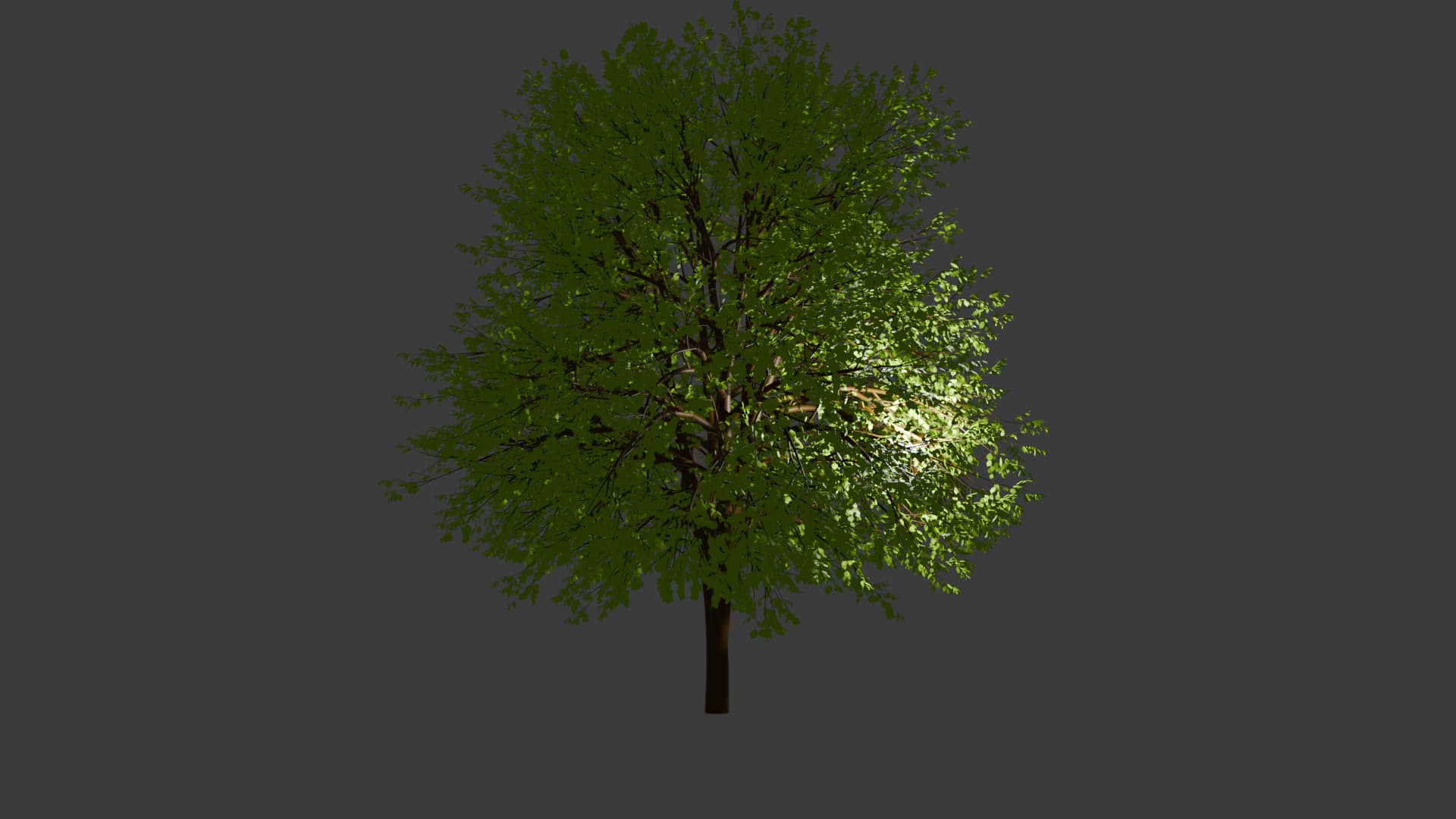 Roblox crashing when rendering a blender tree - Art Design Support ...