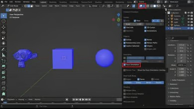 Mesh is importing wrongly (looking for fix if possible) - Building Support - Developer Forum ...