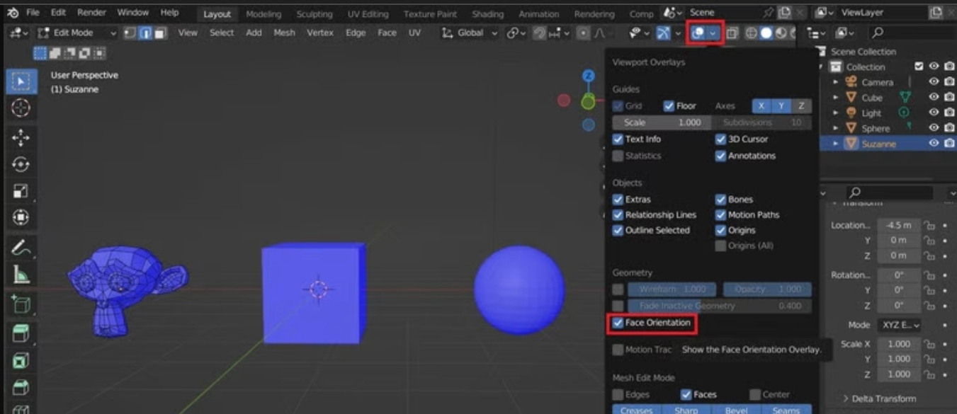 My mesh is invisible, how can I fix this? - Building Support ...
