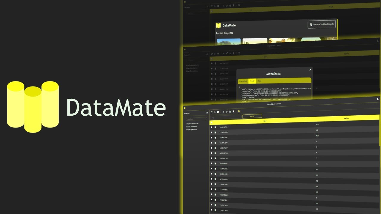 Getting Started with DataMate - Allows developers to take full control over their DataStores ...