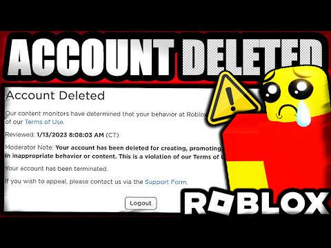 Wrongfully terminated over a year ago - Platform Usage Support ...