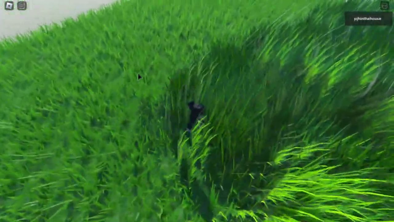 Introduce an interactive grass system! - Page 2 - Creations Feedback ...